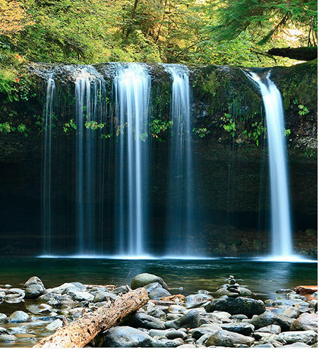 Screen Shot 2017-10-18 at 11.08.43 AM - Panjiea, Inc.