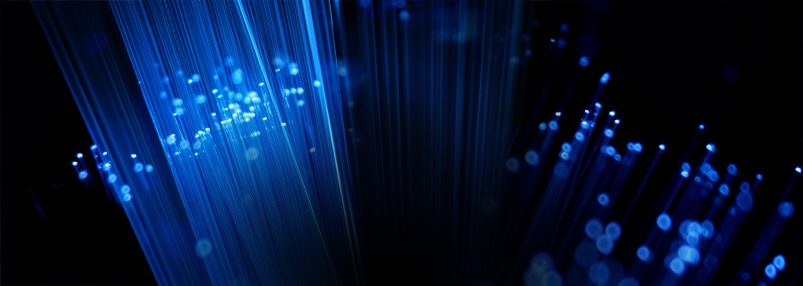 stats - Panjiea, Inc.